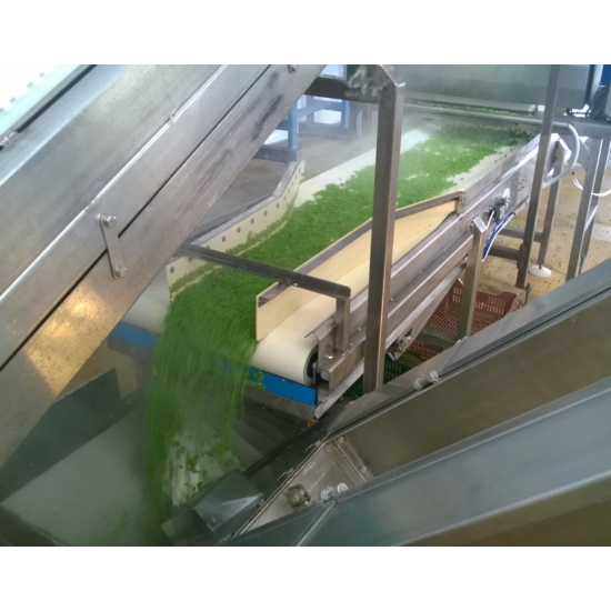 Production of food industry conveyors for vegetable processing