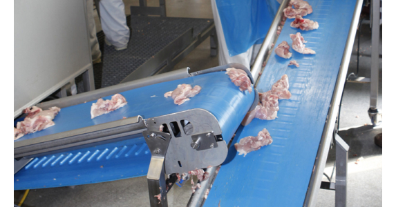 Safe Food Processing with Moltech Solutions